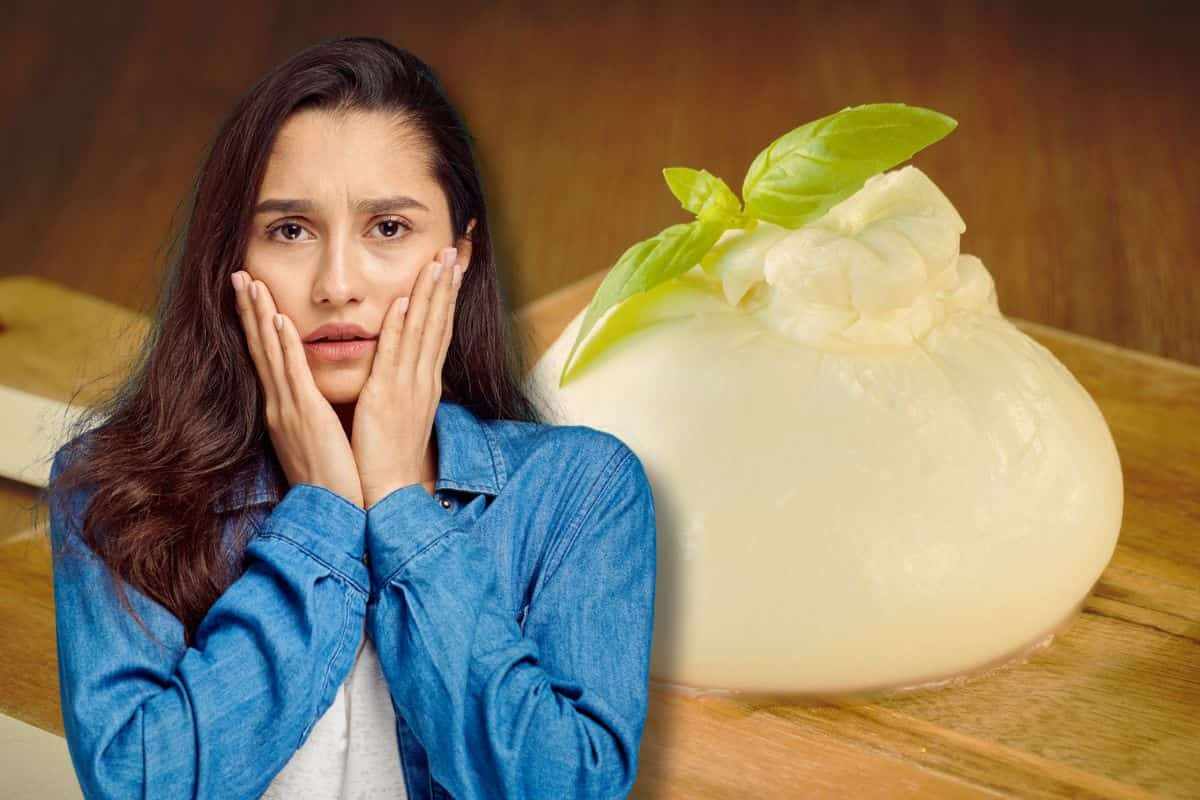 Allarme mozzarella: ritiro alimentare del Ministero per rischio ... Allarme mozzarella: ritiro alimentare del Ministero per rischio ...